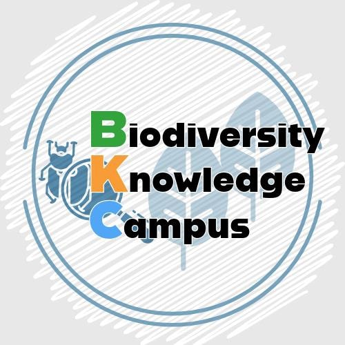 BKCウェルカムデー 2025